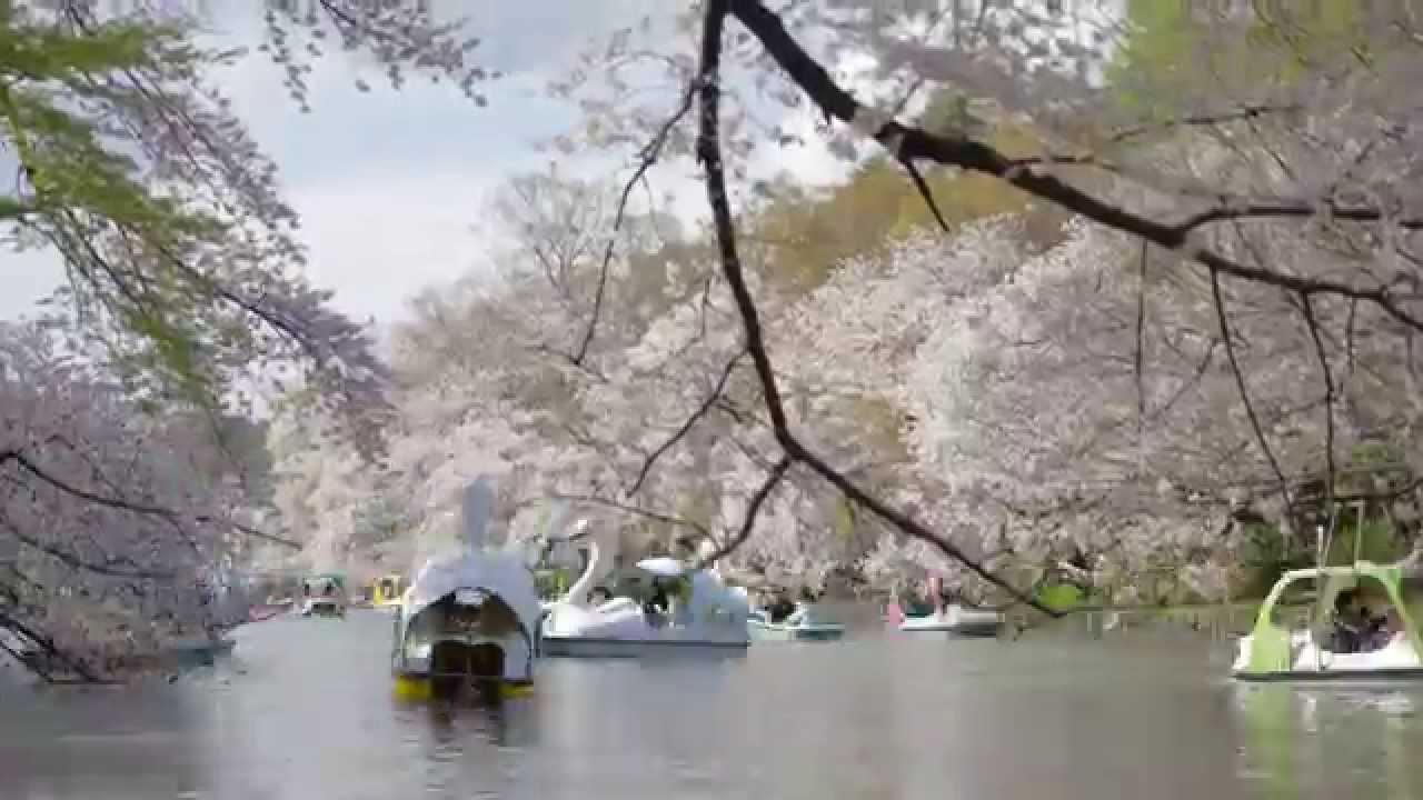 [4K] Pentax 645Z - Official 4K Timelapse Demo