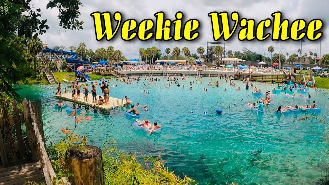 Uno de los MEJORES SPRINGS que hay en FLORIDA 💦 |Weeki Wachee Springs ...