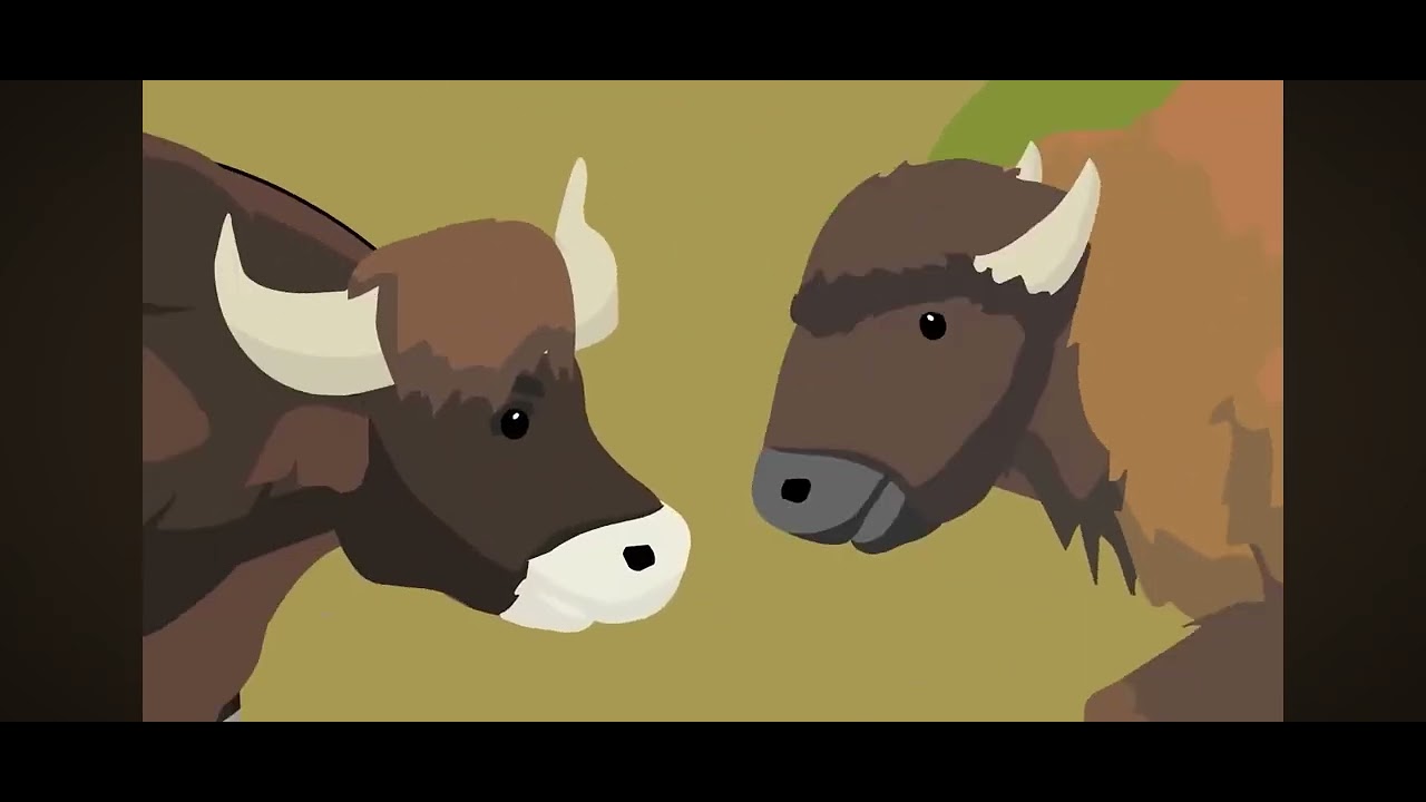 gaur vs bison - YouTube