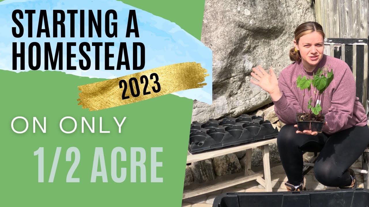 SMALL SCALE FARMING START ONE IN YOUR BACKYARD YouTube small-scale-farming-start-one-in-your-backyard-youtube