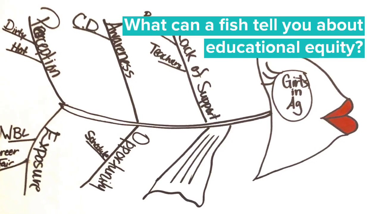What can a fish tell you about educational equity? - YouTube