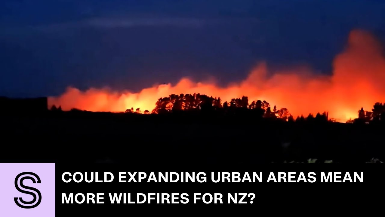Could expanding urban areas mean more wildfires for NZ? | Stuff.co.nz ...