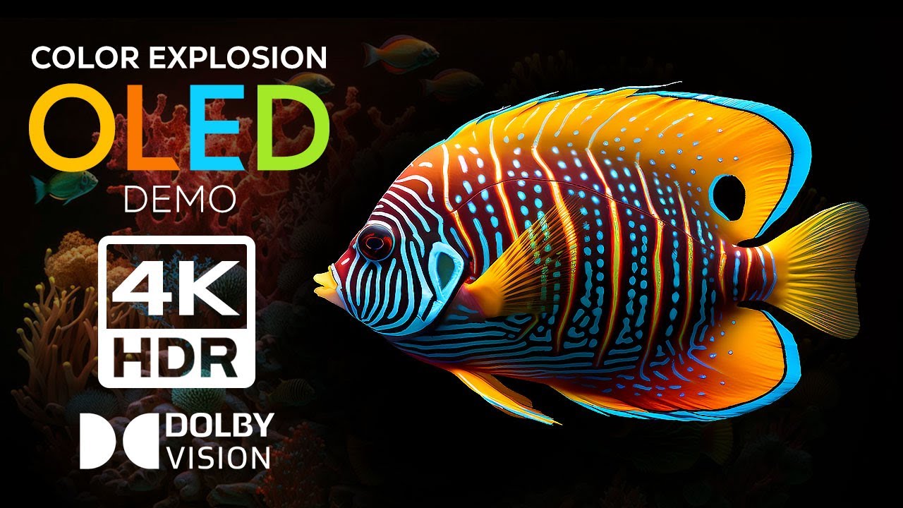 BEST of 4K OLED TV Demo 2025! Color Explosion 4K Video ULTRA HD 120fps ...
