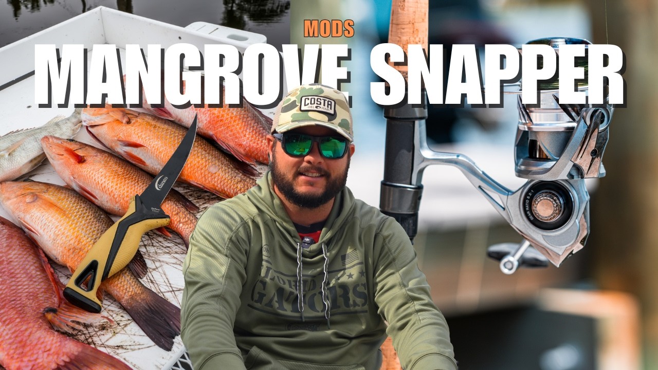 Mangrove Snapper SECRETS: 2 Rig Modifications You Need to Know! - YouTube