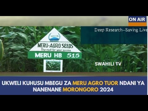 UKWELI KUHUSU MBEGU ZA MERU AGRO TUOR NDANI YA NANENANE MORONGORO 2024 ...