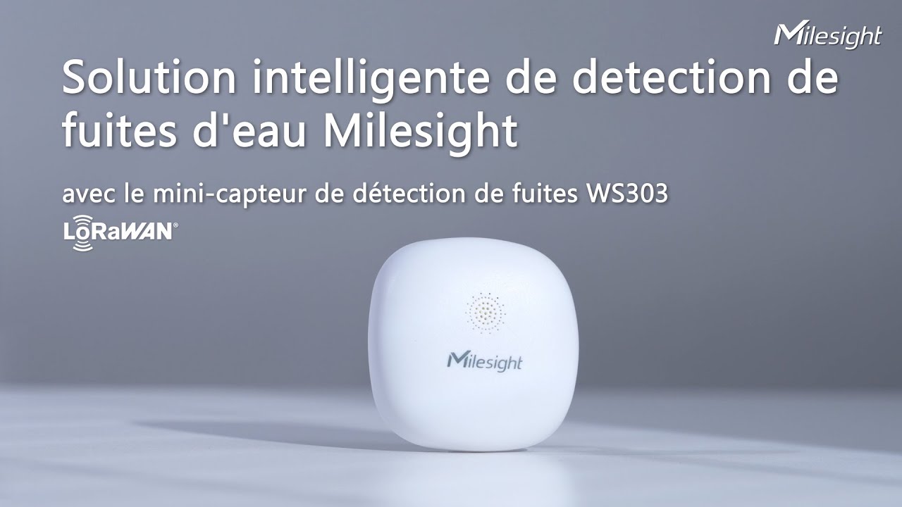 Solution intelligente de detection de fuites d'eau Milesight WS303 ...