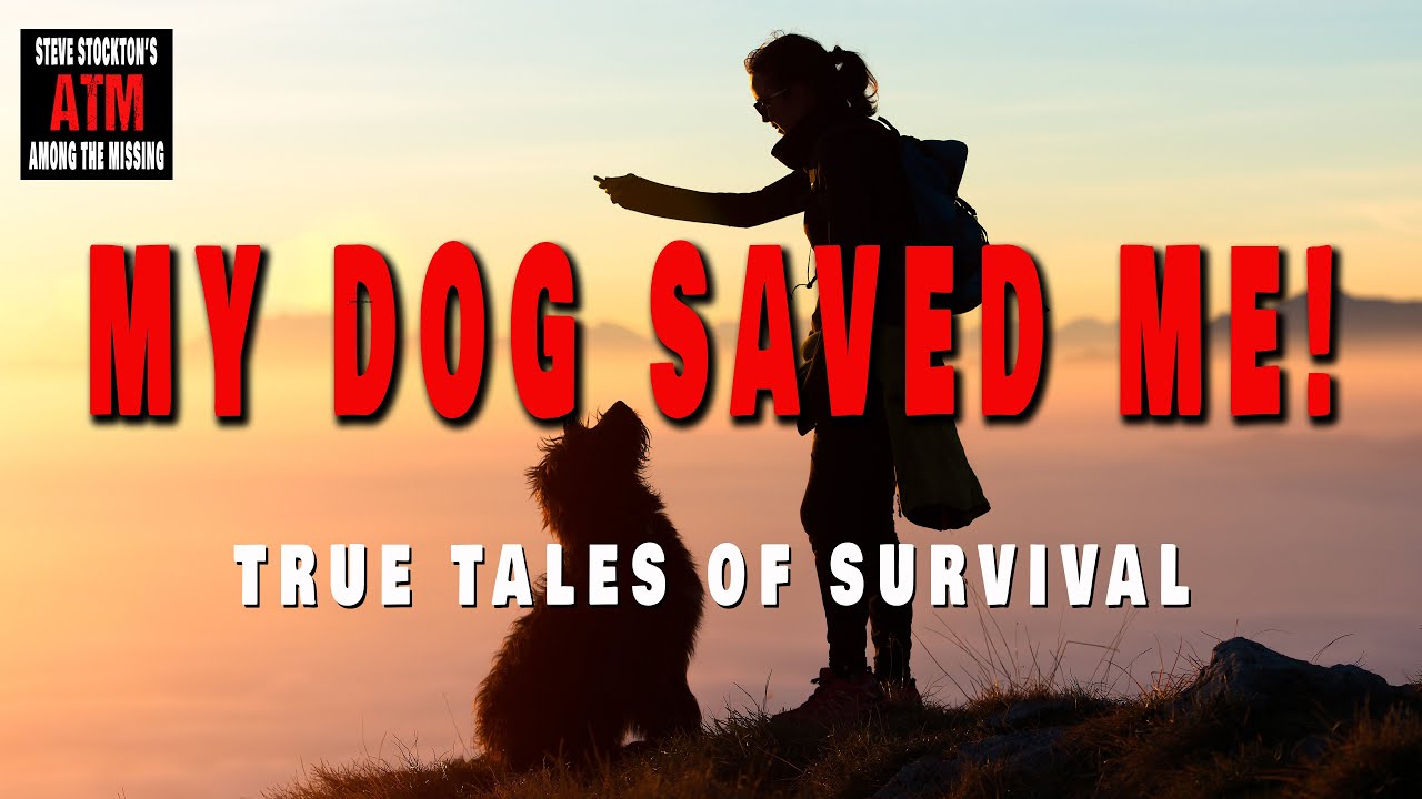 IN MEMORY OF MR. MULDER 2011-2025 - MY DOG SAVED ME! - YouTube