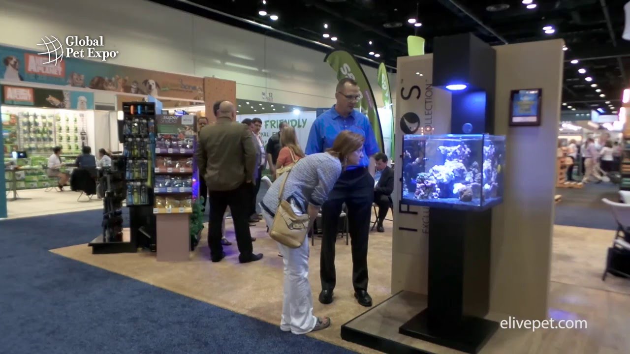 Elive Pet - IFALOS Exclusive Aquarium Collection - YouTube