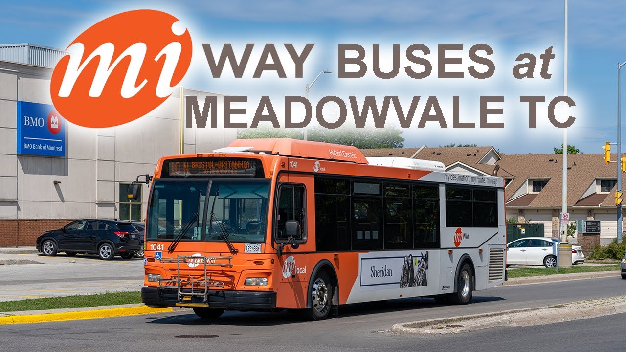 MiWay Buses at Meadowvale Town Centre - YouTube