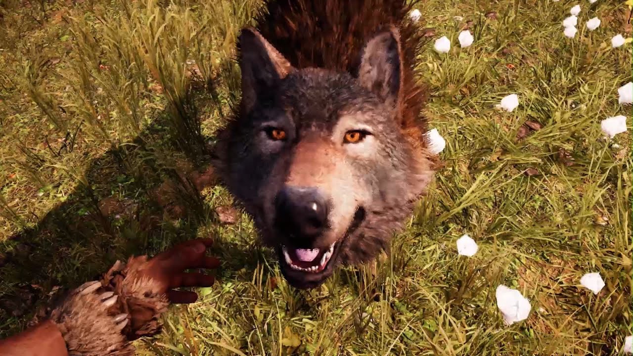 FarCry Primal- Hunting with Wolf and showcase - YouTube