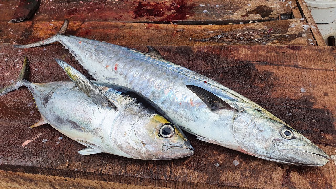 Amazing Fish Cutting Skills - YouTube