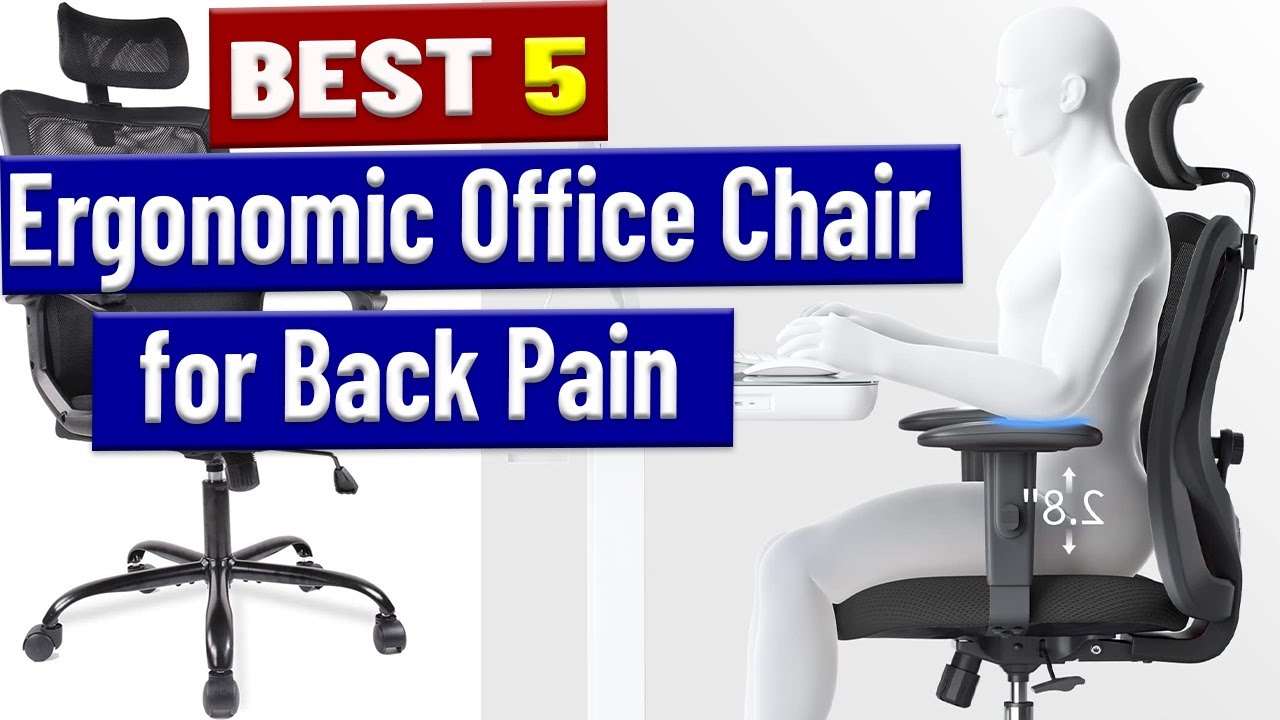 Best 5 Ergonomic Office Chair for Back Pain - YouTube