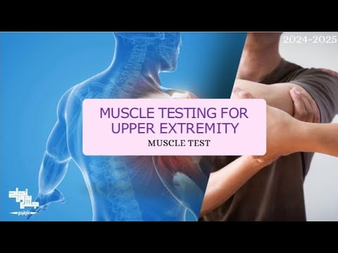 Muscle strengthening of upper extremity, Muscle Test lec 6 - YouTube