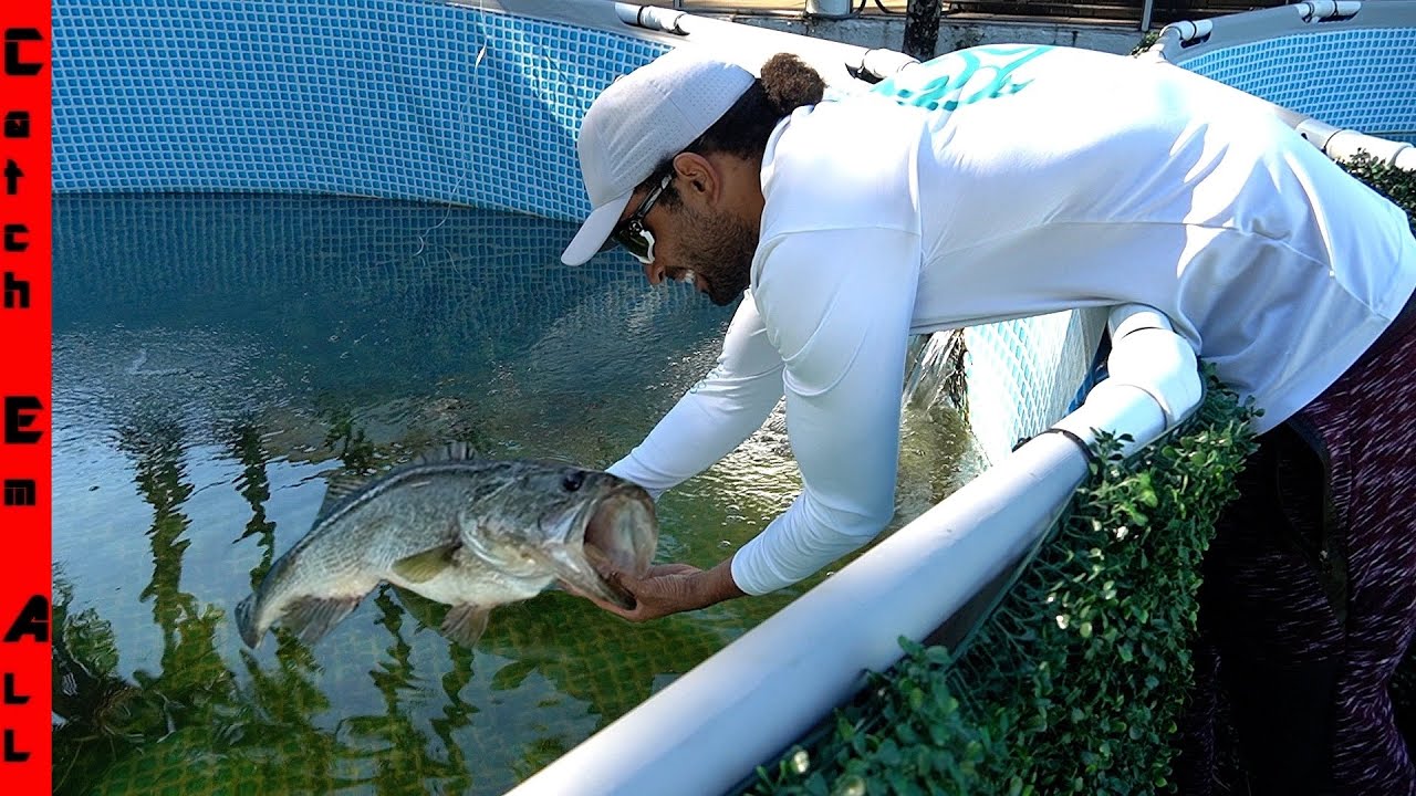 DEATH IMMEDIATELY after BUYING FISH on the DARK WEB! - YouTube