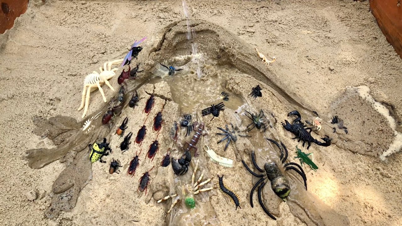 Toy Insect And Huge Flood In The Sandbox.Water Volcano In The Sand 🙂👍 ...