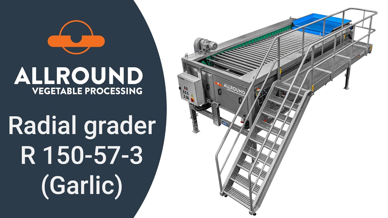 Radial grader R 150-70-3 pitch 100 with garlic | Allround Vegetable Processing - YouTube