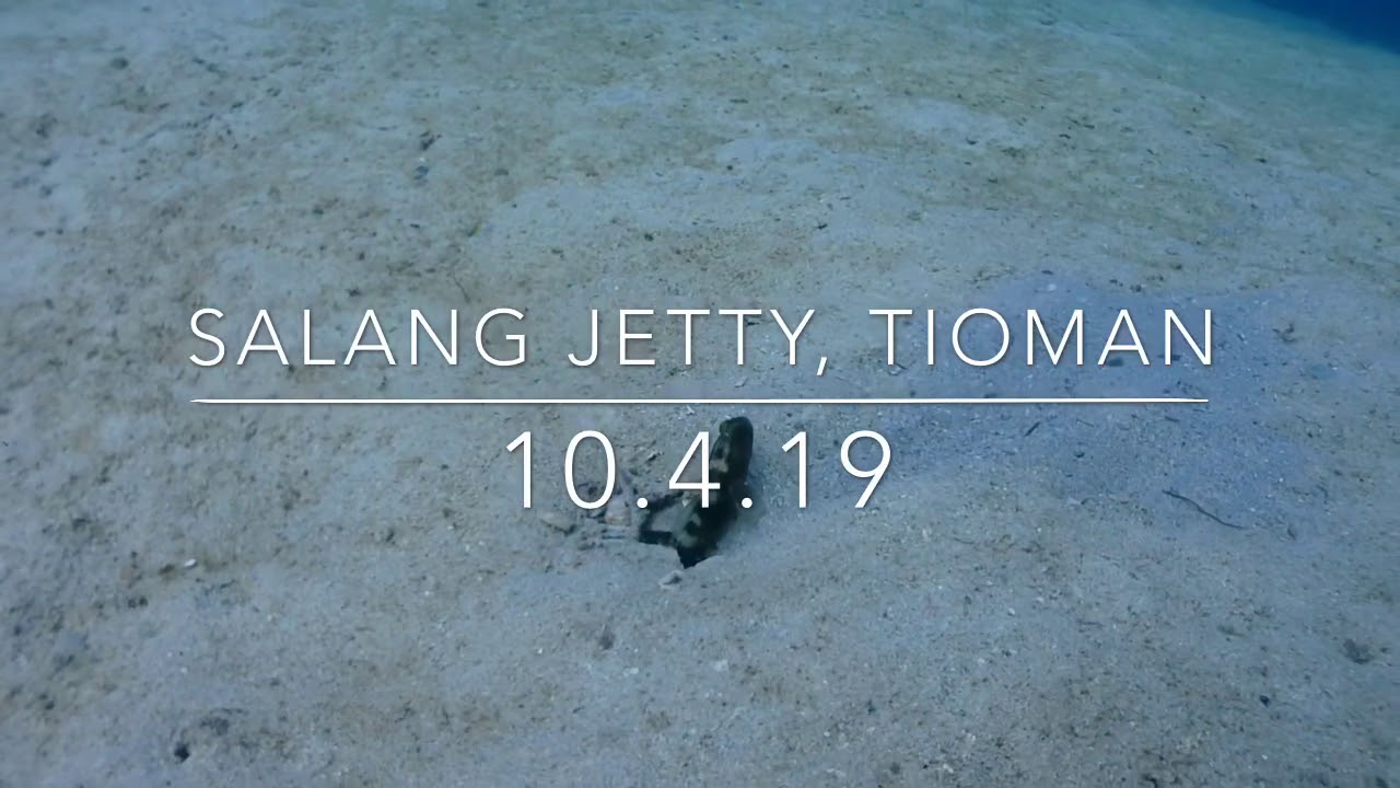Salang Jetty, Tioman Island - YouTube