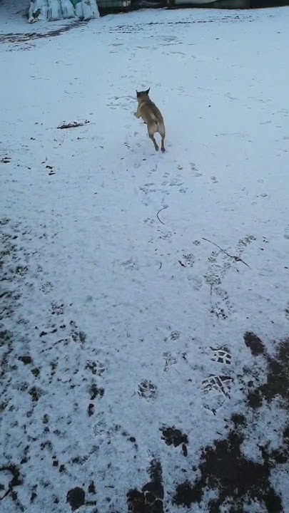 When I see snow for the first time in my life 😅 - YouTube