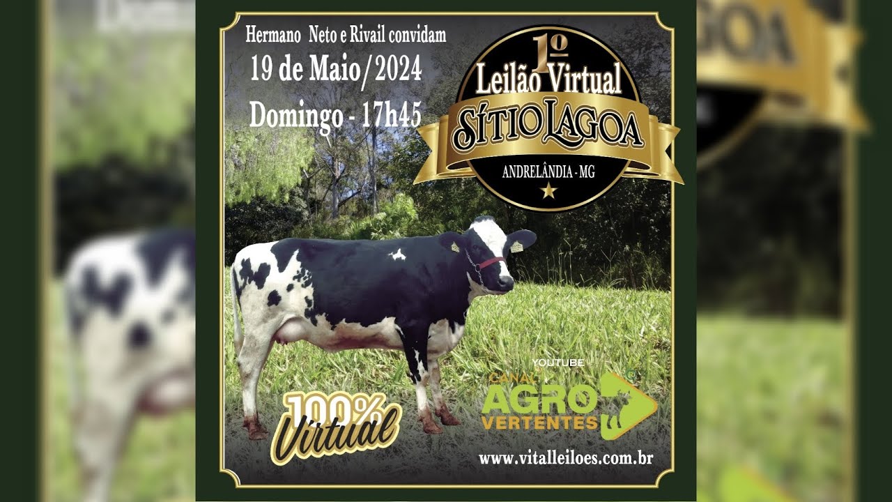 1º LEILÃO VIRTUAL SÍTIO LAGOA - HERMANO NETO E RIVAIL - 19/05/2024 ...