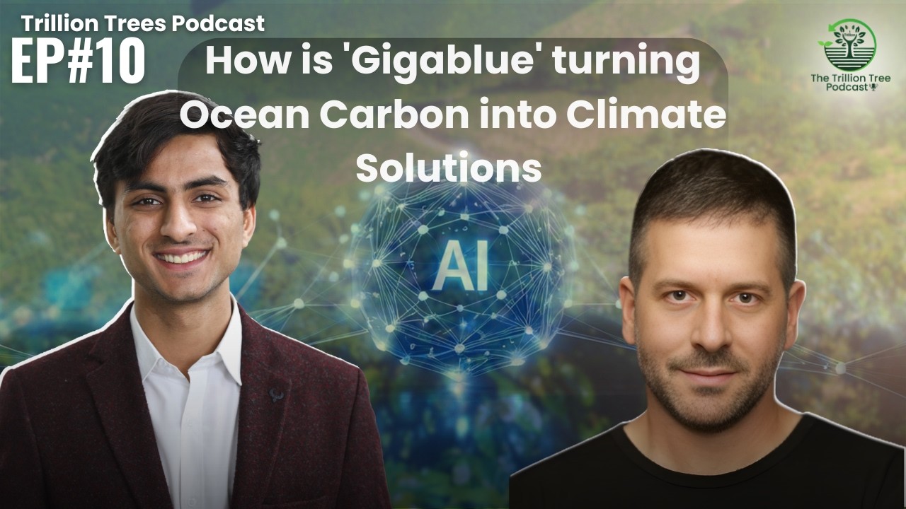 How is 'Gigablue' turning Ocean Carbon into Climate Solutions | The ...