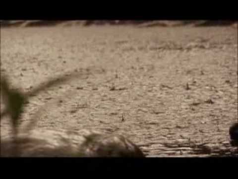 River Monsters: Goonch Teeth Closeup - YouTube