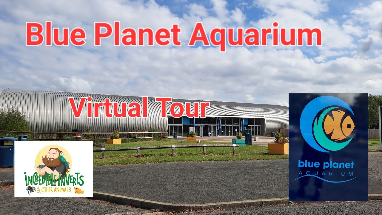 Blue Planet Aquarium | Virtual Tour | #blueplanet #aquarium #fish - YouTube