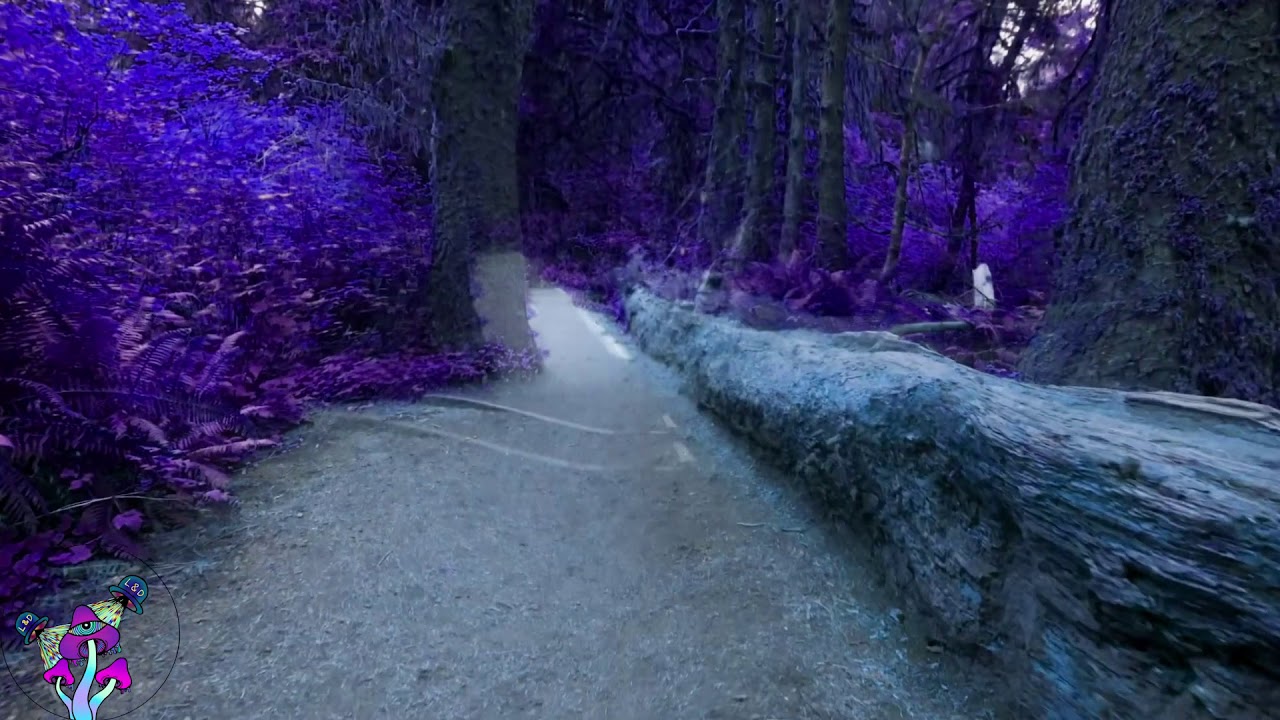 tripping in the nature - YouTube