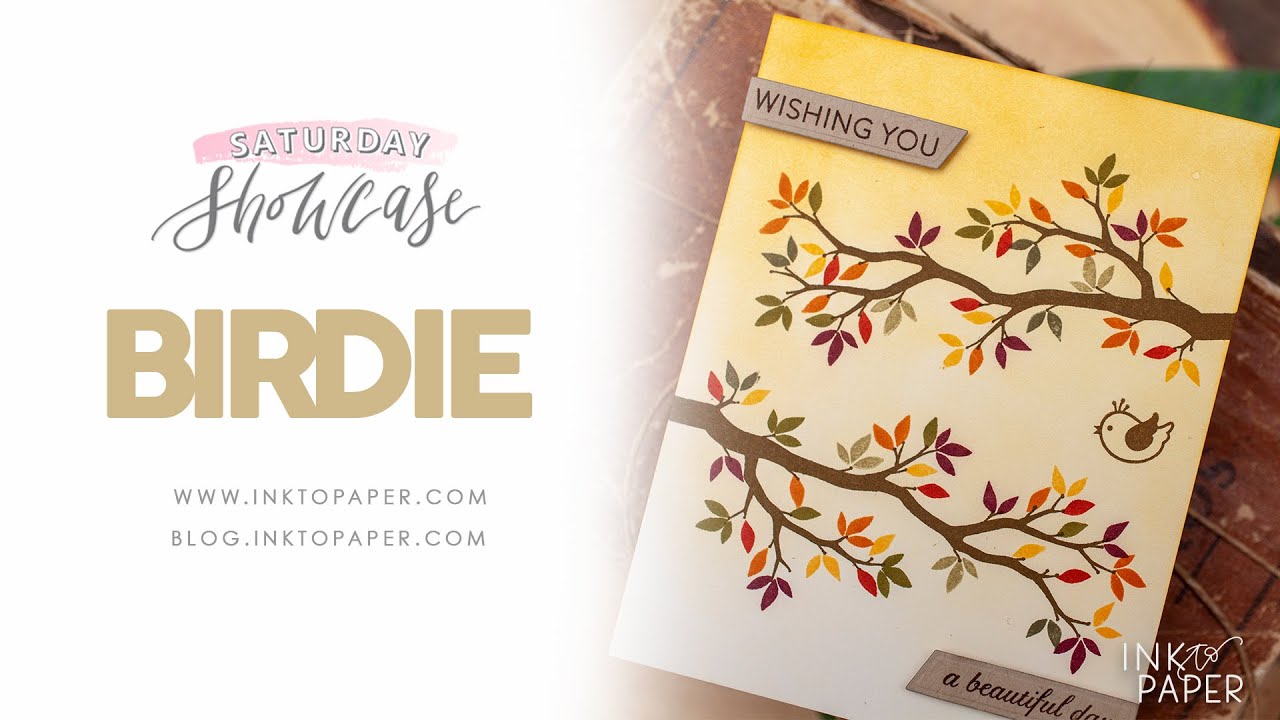 Saturday Showcase: Birdie - YouTube