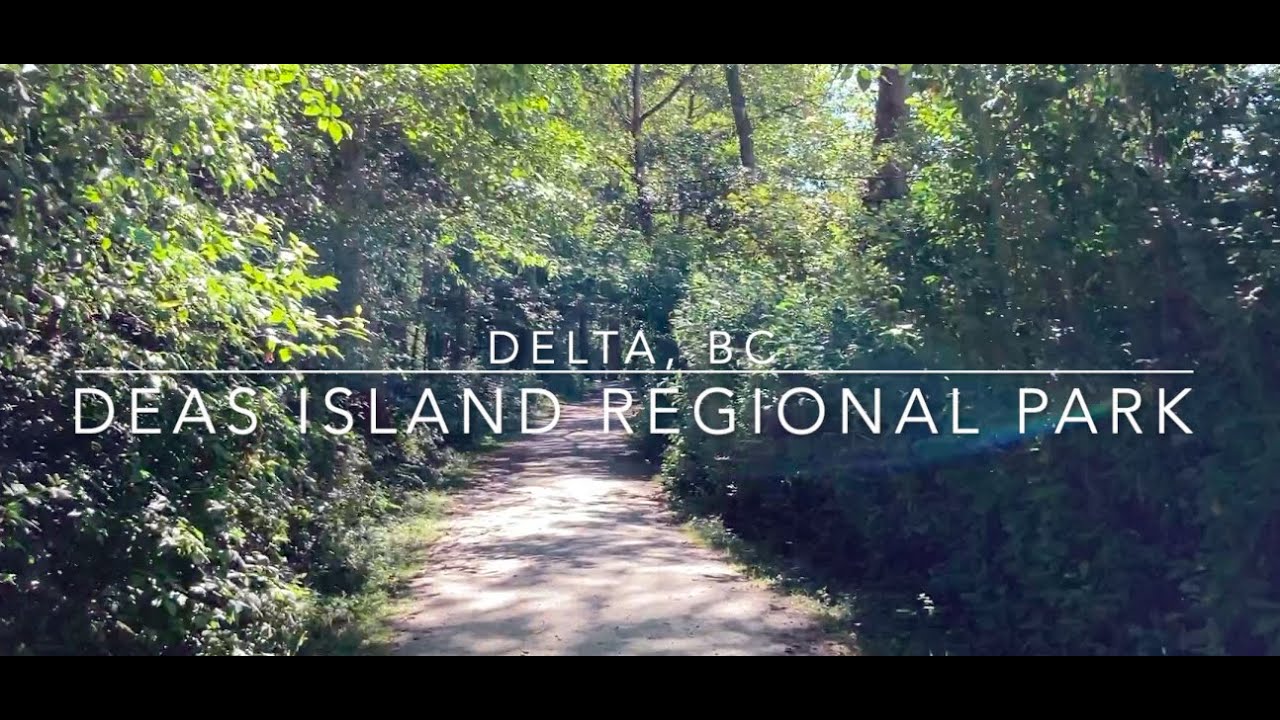 Neighbourhood Walk: Deas Island Regional Park, Delta, BC - YouTube
