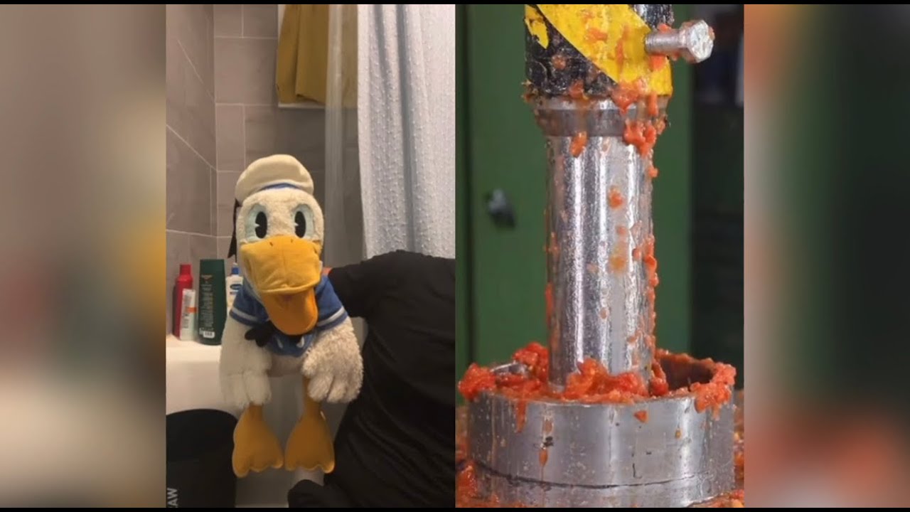 These Donald Ducc TikToks Will Make Your Day BETTER! (SO FUNNY) - YouTube