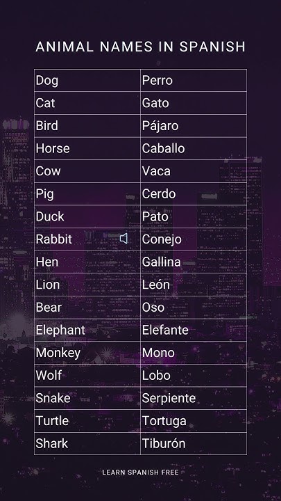 Learn Spanish Free: Animal Names in Spanish 2025 - YouTube