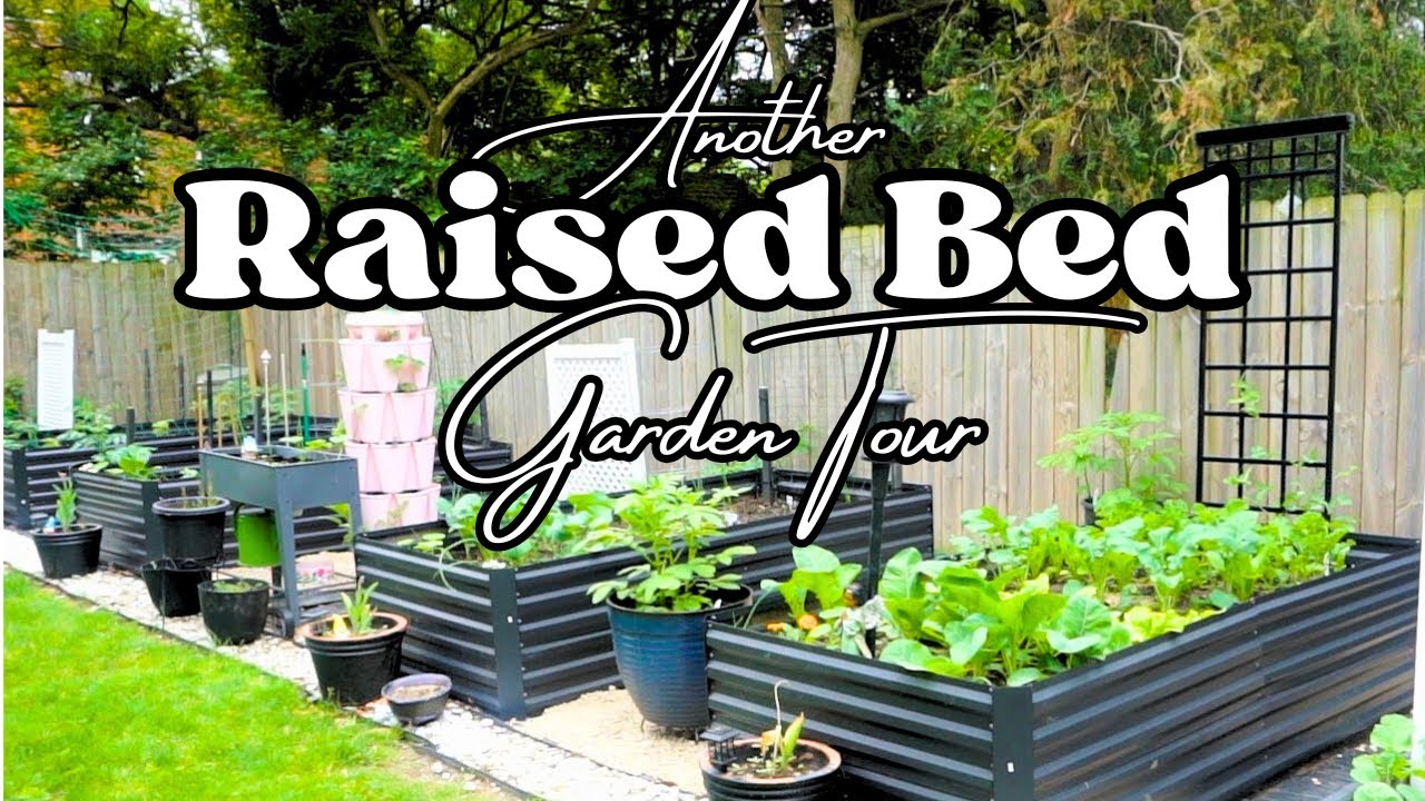 What I’m Growing in My Vegetable Raised Beds | 🍅 NW Ohio Zone 6b - YouTube