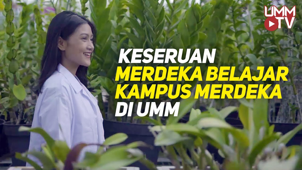 Keseruan Merdeka Belajar-Kampus Merdeka di UMM | MBKM UMM - YouTube