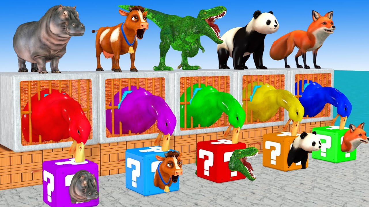 Cow Mammoth Elephant Lion Pig Sheep Guess The Right Door ESCAPE ROOM ...