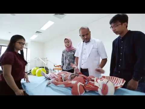 Profil Program Studi Fisioterapi UI - YouTube