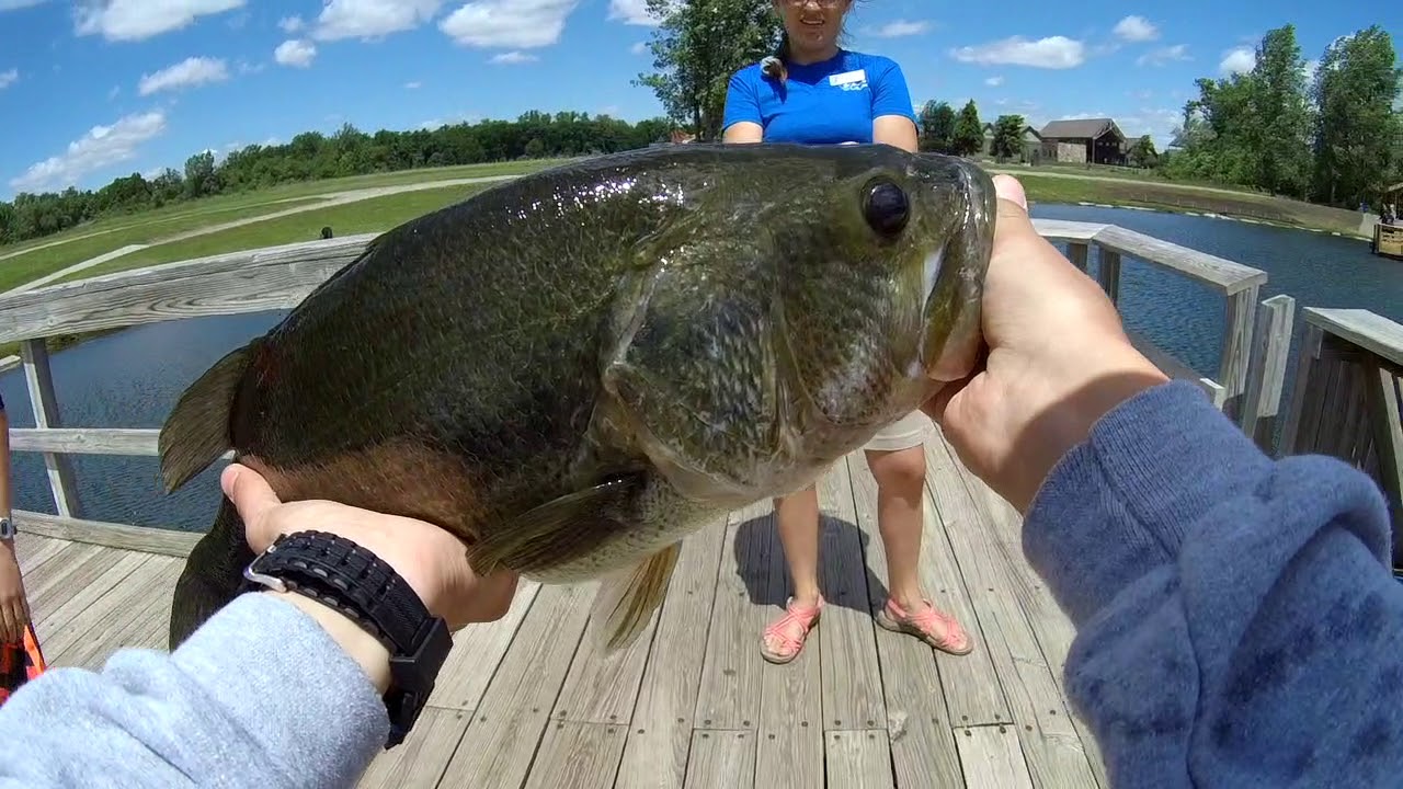 This GIANT Bass DESTROYED My Thumb! - Fishing for More Big Bass - YouTube