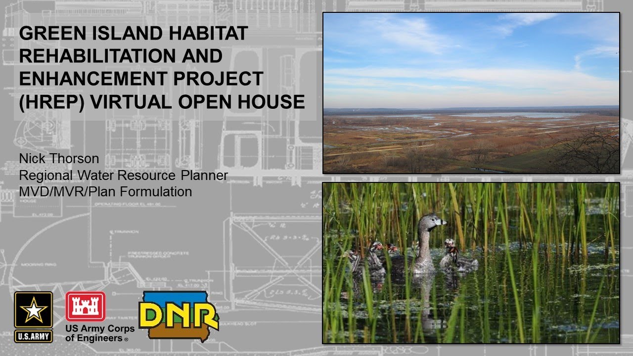 Green Island Habitat Rehabilitation and Enhancement Project Virtual ...