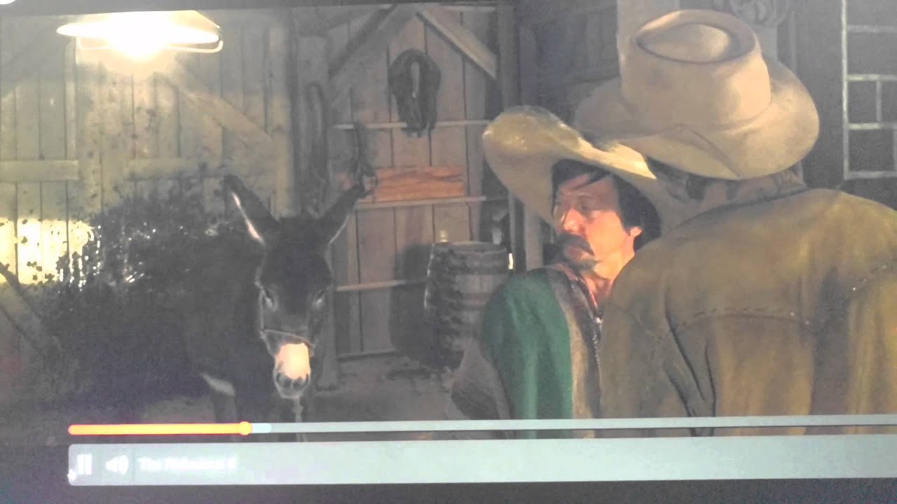 Burro poop one - YouTube