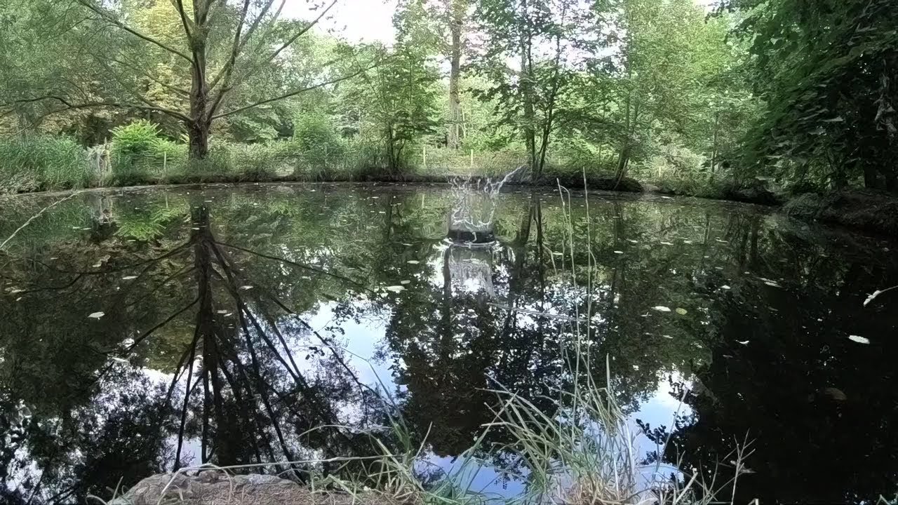 GoPro Hero6 black 240 frames per second test - YouTube