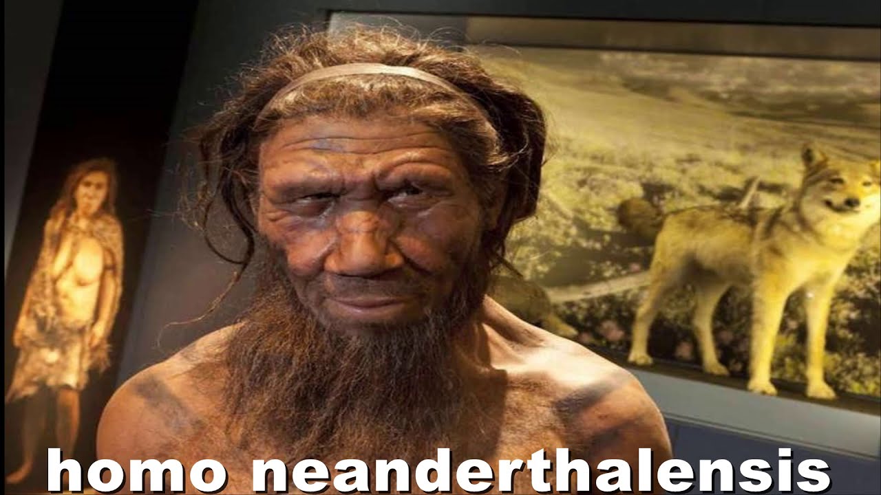 NE KADAR DEĞİŞMİŞİZ (ilk insan türleri) - YouTube