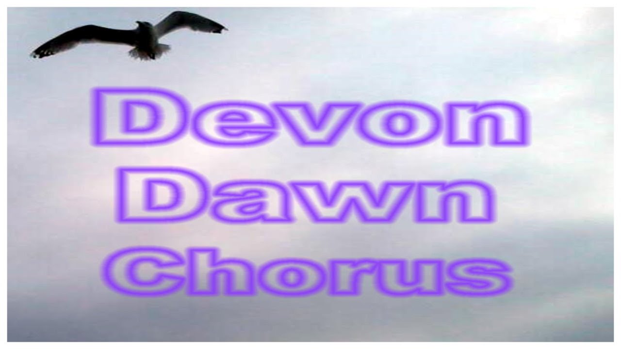 Devon Dawn Chorus - YouTube