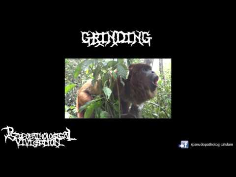 Pseudopathological Vivisection - Grinding ft. Howler Monkey, Death Metal Camel & ET The Walrus