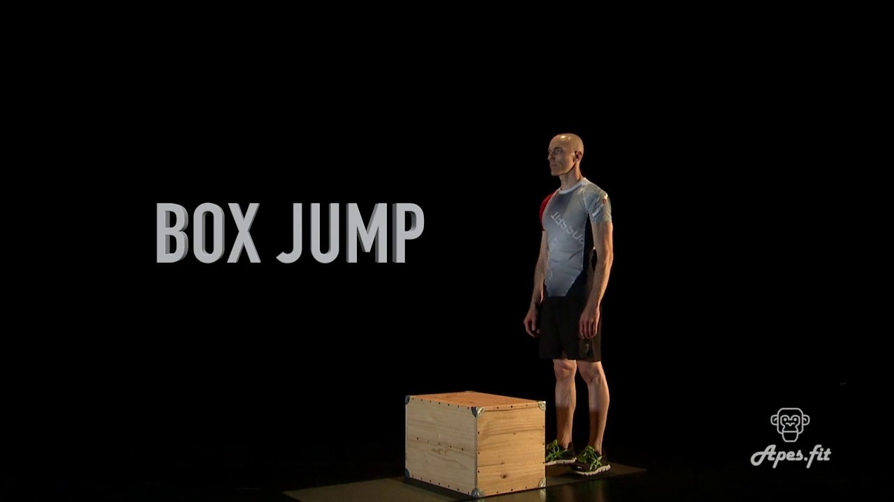 BOX JUMP - Tutorial ApesFit-my private training - MUSCULATION POIDS DE ...