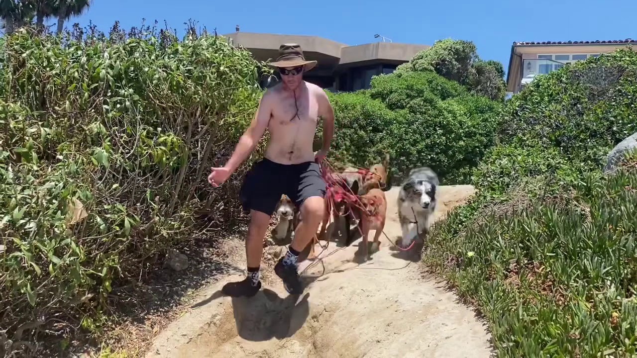 Beach days with Grant Noble and The Noble Dogs - YouTube