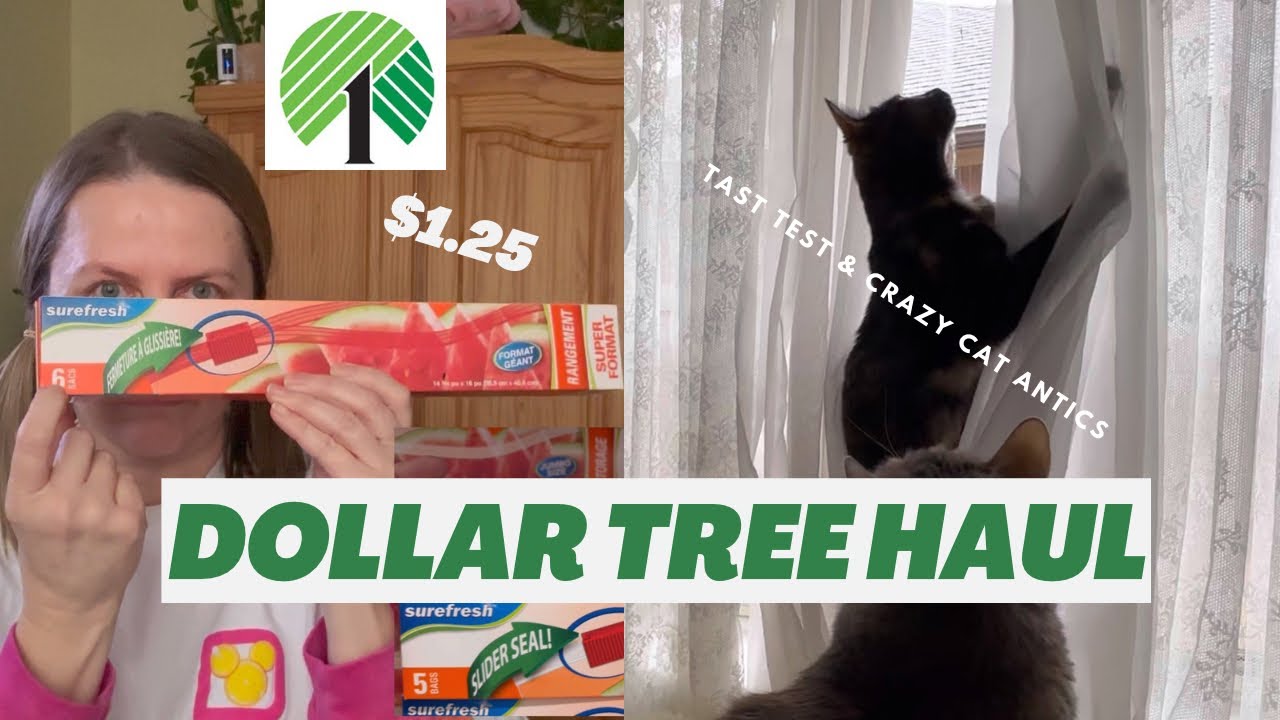 Dollar Tree haul & Taste Test | Crazy Cat Antics🙀 - YouTube
