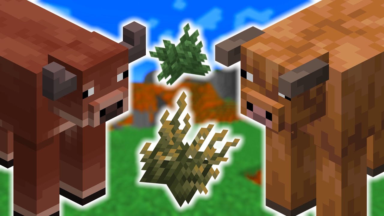 Luciole, Plante, Vaches... Mise à jour de l'overworld ! - Minecraft ...