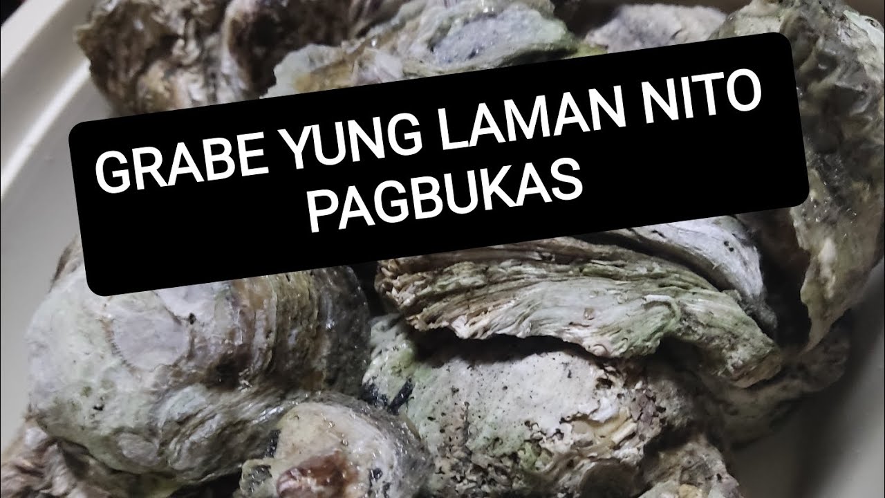 GRABE YUNG LAMAN NITO!! GALING BICOL... HINDI KO INEEXPECT! #OYSTER # ...