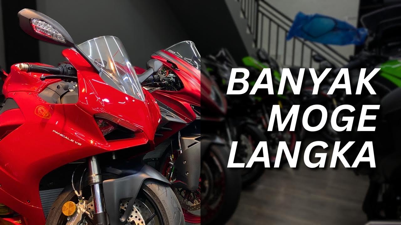 LIAT MOGE - MOGE LANGKAH & UNIK DI TOKOMOGE INDONESIA - YouTube