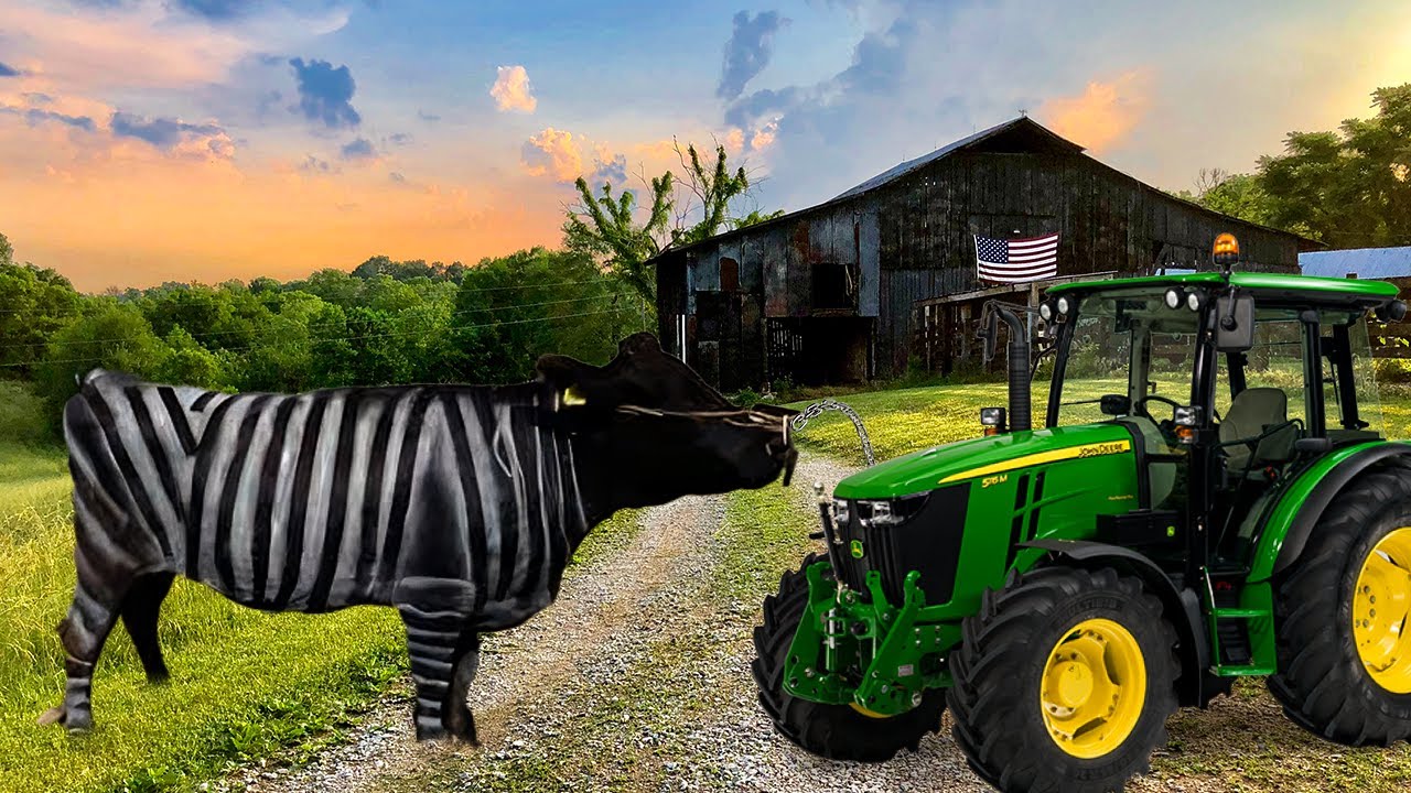 Cleaning the barn | Working with machinery in the field | Feeding ...