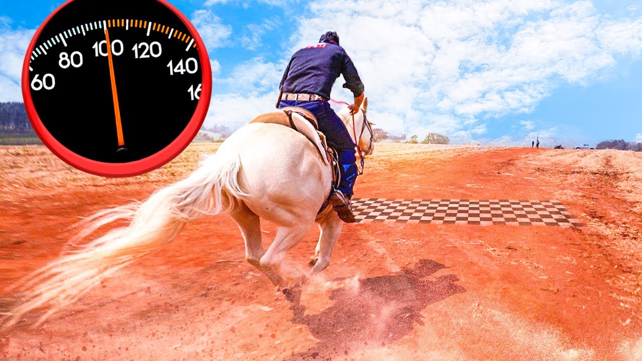 VELOCIDADE MÁXIMA DO MEU CAVALO 100kmh !! * preparando ele pro grande ...